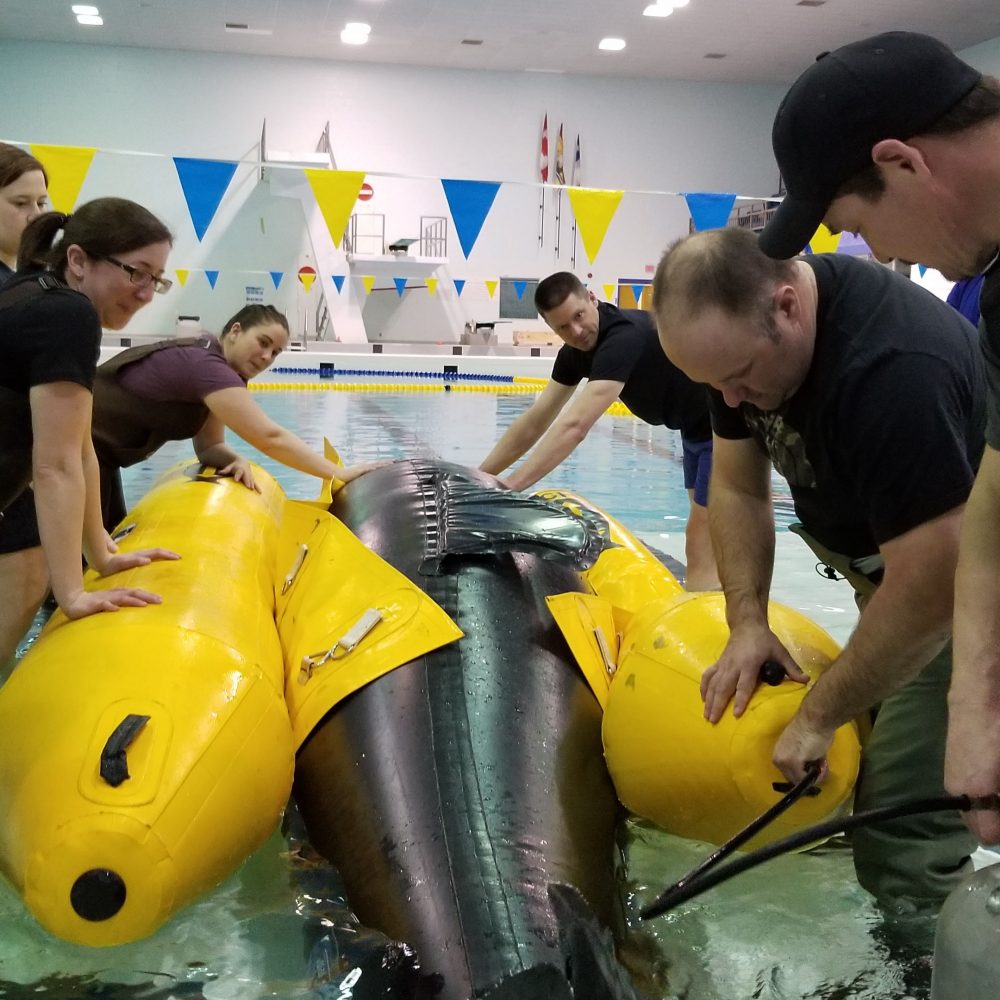 Training – Marine Animal Response Society (MARS)